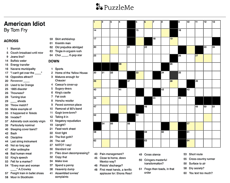 American Idiot — Rätselportal — Logic Masters Deutschland